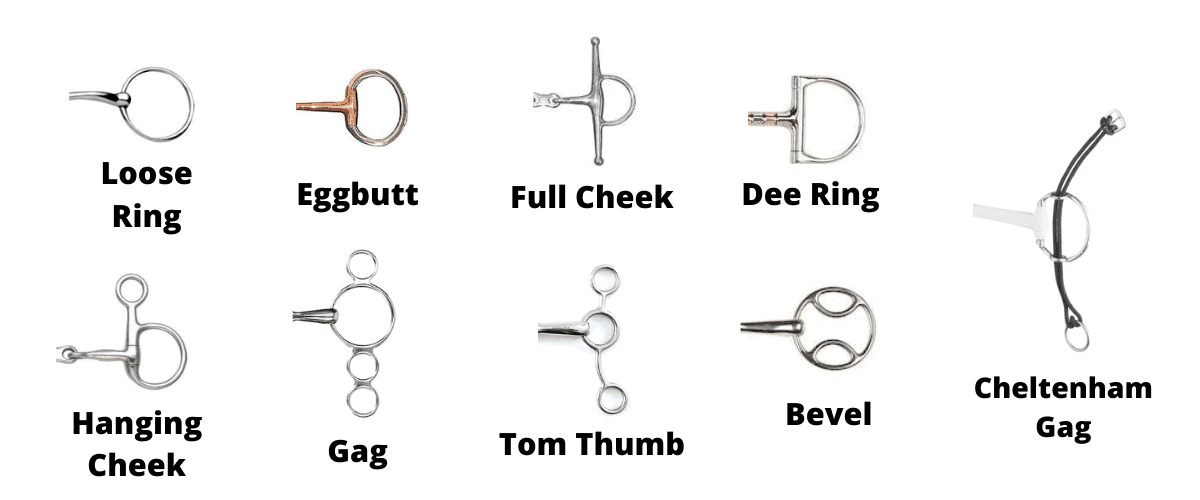 Choosing The Right Bit For Your Horse - Petz