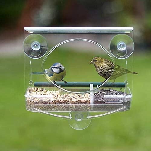 Best Wild Bird Feeders Reviewed for 2022 - Petz