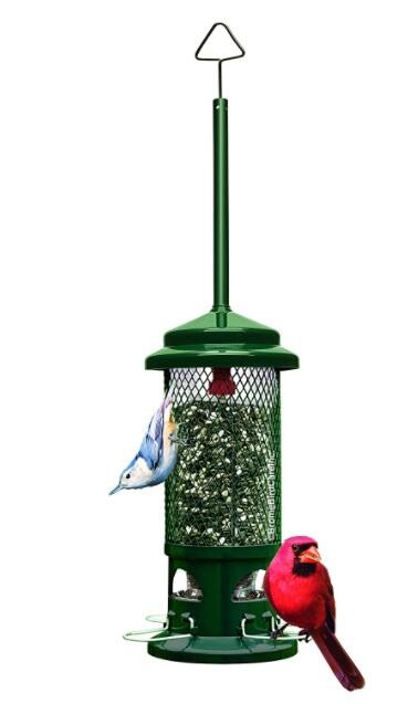Best Wild Bird Feeders Reviewed for 2022 - Petz