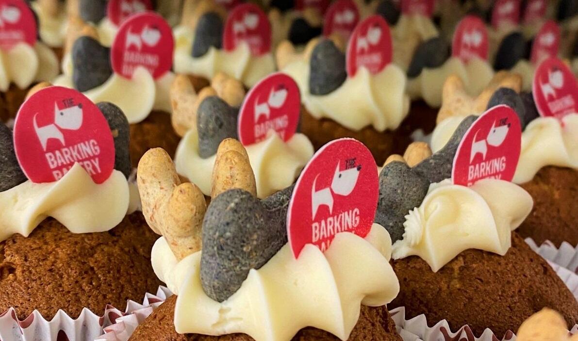 Small Business Spotlight: The Barking Bakery | Petz.uk