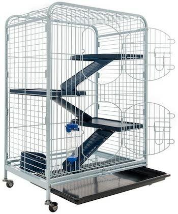Best Degu Cages Reviewed for 2023 - Petz