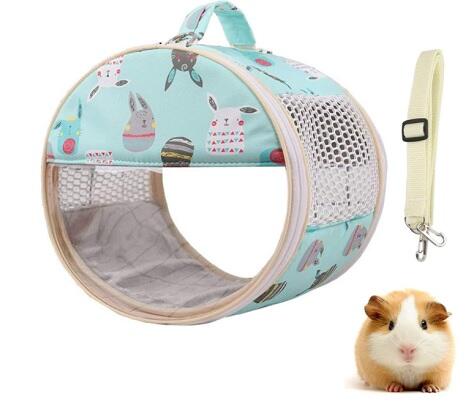 Best Small Animal Carriers Reviewed for 2022 - Petz