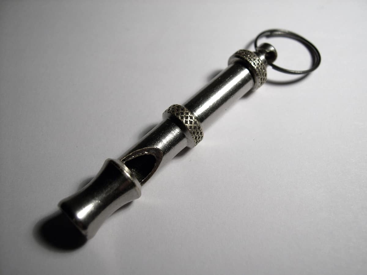 Best Dog Whistles Reviewed for 2025 - Petz