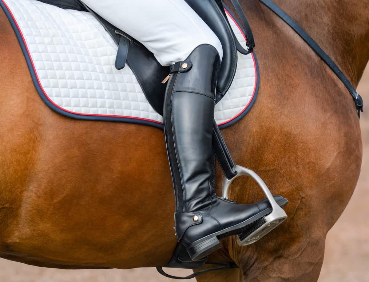 Best Horse Riding Boots Reviewed for 2022 - Petz
