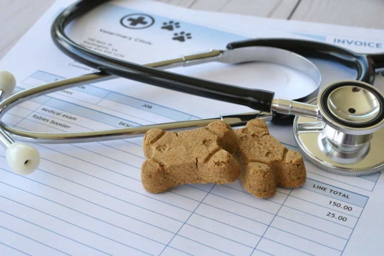 Dog & Cat Vaccinations UK 2026: Puppy/Kitten Schedules, Core Diseases ...